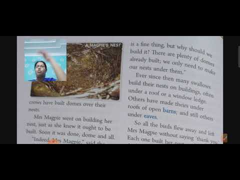Chapter Explanation: The Magpie's Lesson Video Lecture - Communicate in ...