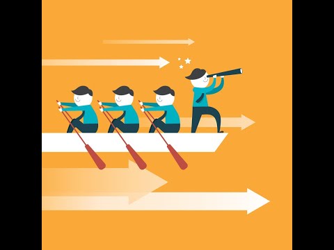 Business Edition Episode 5 The impact of macro-management (versus micromanagement)