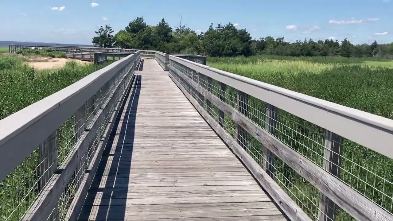 APES-- ecosystem services