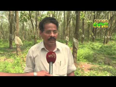 Fake documents allegedly used to sell fallow land