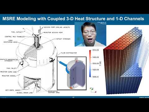 Simulation of Heat and Mass Transport in Molten-Salt Reactors by Rui Hu @ ORNL MSRW 2021
