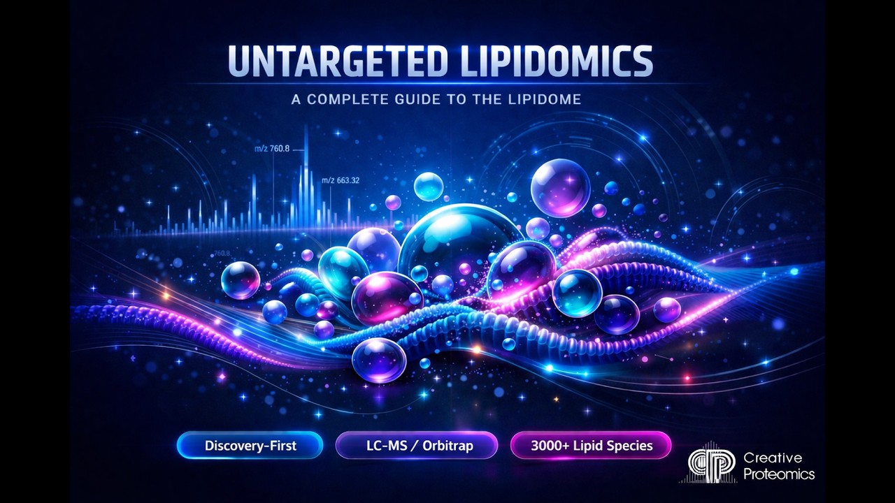 Untargeted Lipidomics Explained: A Complete Guide to the Lipidome 🧪