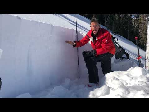 Upper Moffit Basin avy