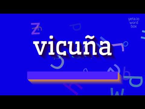 How to say "vicuña"! (High Quality Voices)