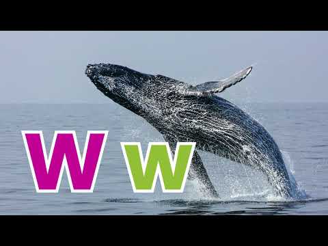 Animal Names from N to Z | Kids Nursery Rhyme | Kids song
