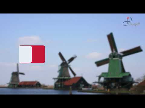 Zaanse Schans, Amsterdam Guide - What to do, When to visit, How to reach, Cost  Tripspell