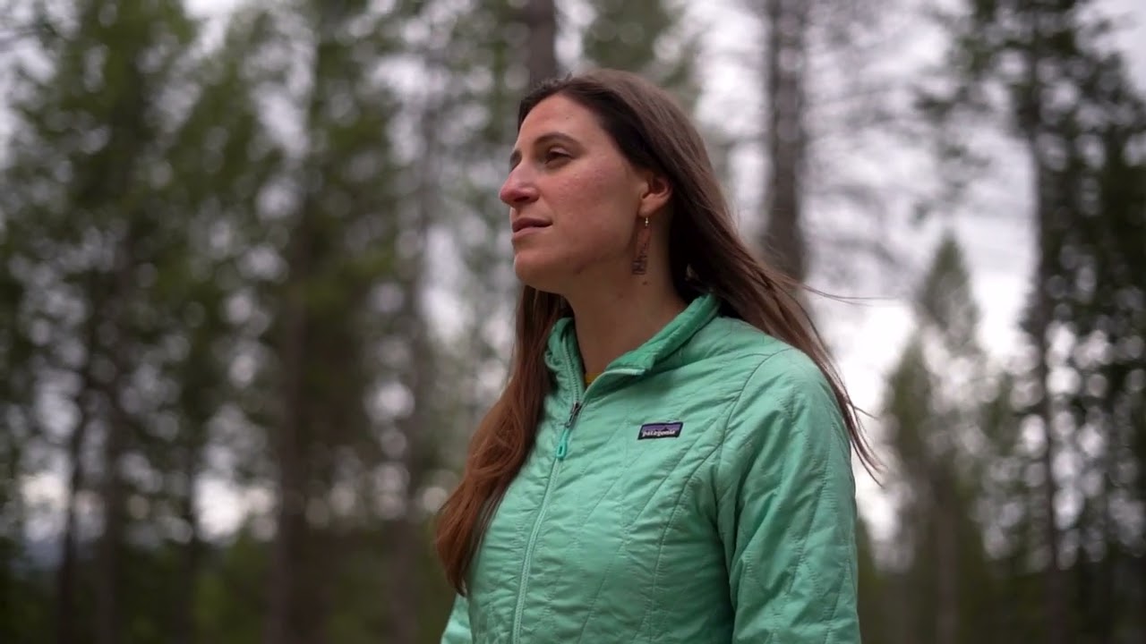 FOREST COLLABORATIVE