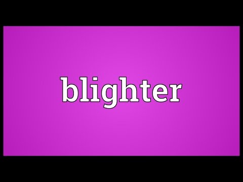 Blighter Meaning