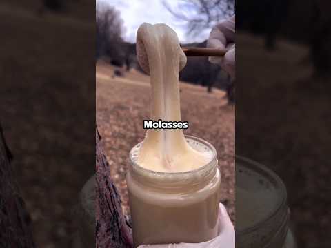 ये कोई शहद 🍯🐝 नही है ...ये है #molasses #facts #shorts