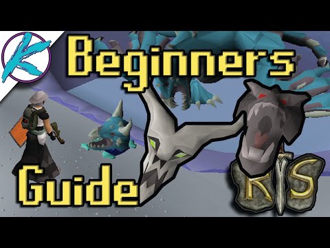 2020 Vorkath Guide for Beginners