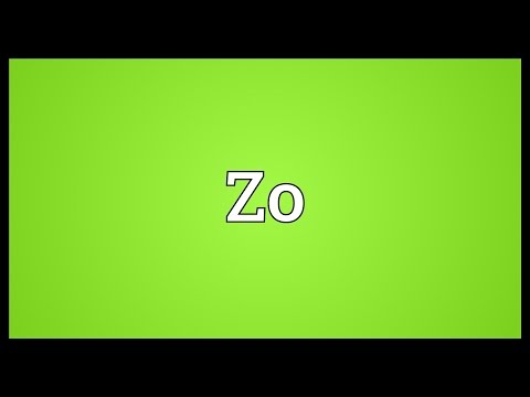 Zo Meaning