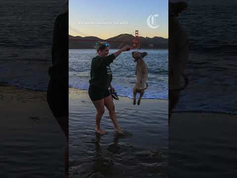These are the best beaches in the San Francisco Bay Area