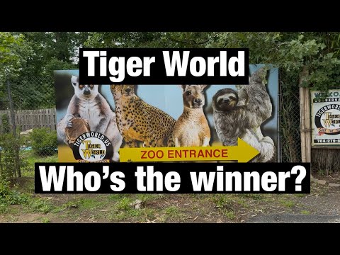 TIGER WORLD ZOO - Rockwell, NC - Who’s the winning animal?