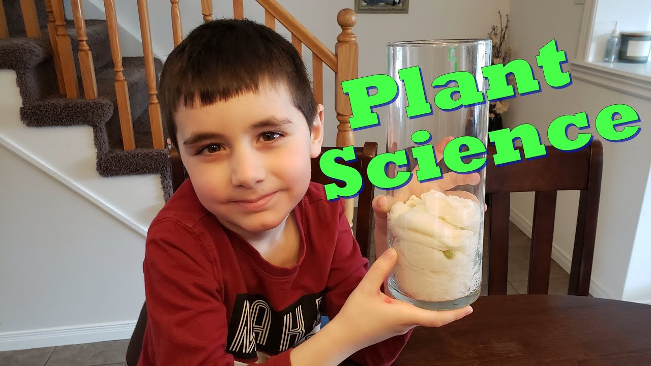 Plant Science Experiment: Seed Germination