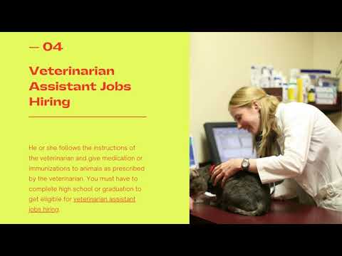 Vet Receptionist Jobs
