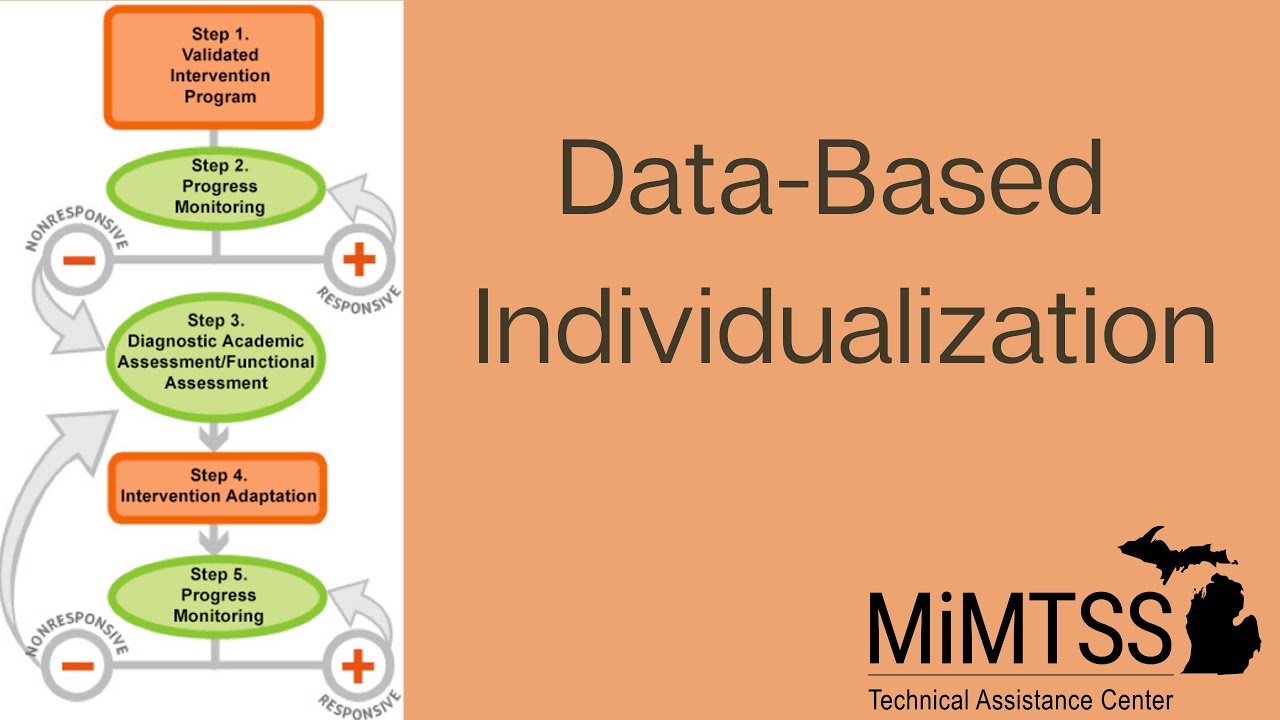 Data-Based Individualization Overview