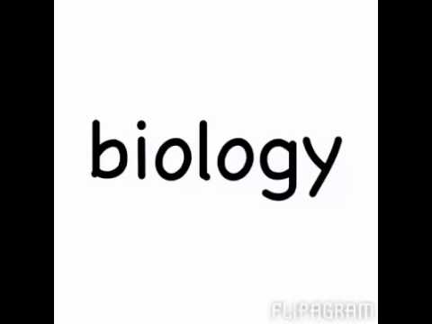 HOW TO PRONOUNCE THE SUBJECTS - VINE