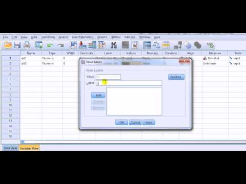 SPSS for newbies: questionnaire data entry- filter questions Video ...