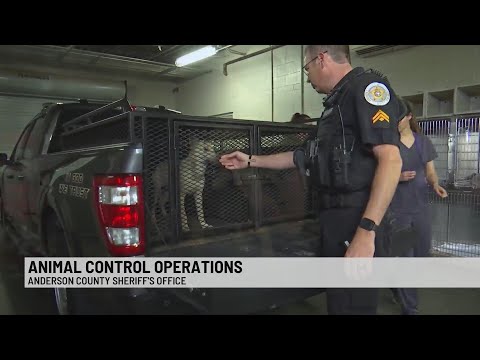 Behind the scenes of Anderson County's Animal Control Unit
