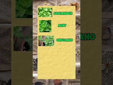 Herbs Name in English #youtubeshorts #learnenglish #english #youtube