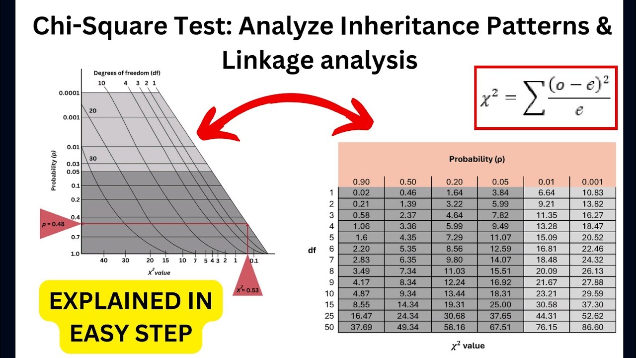 Chi-Square Test to Analyze Inheritance Patterns & Linkage analysis | Hypothesis Testing in Genetics