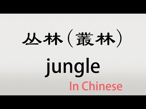 The Chinese word conglin - 丛林 - cónglín (jungle in Chinese)
