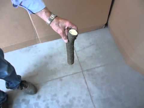How to choose firewood .. recognize the dry wood from the noise/sound..the sound of the nature