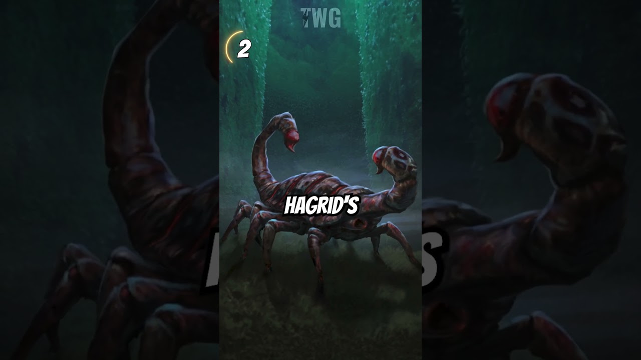 Missing obstacles from the 3rd task in Goblet of Fire #harrypotter