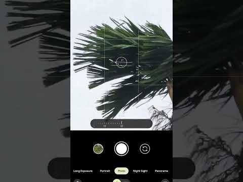 google pixel 8 pro zoom test