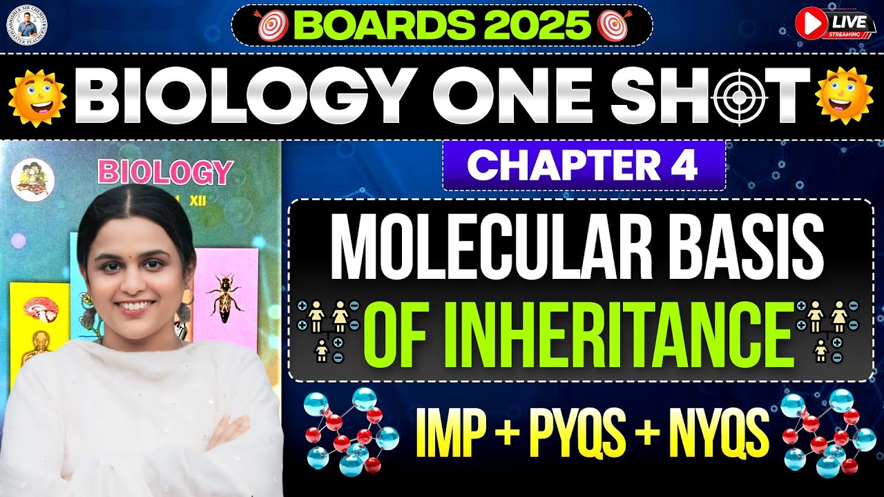Understanding the Molecular Basis of Inheritance: A Comprehensive Guide | Galaxy.ai