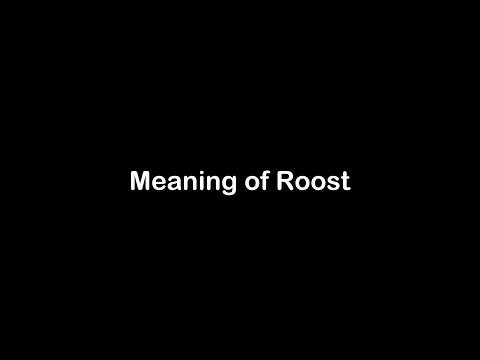 What is the Meaning of Roost | Roost Meaning with Example