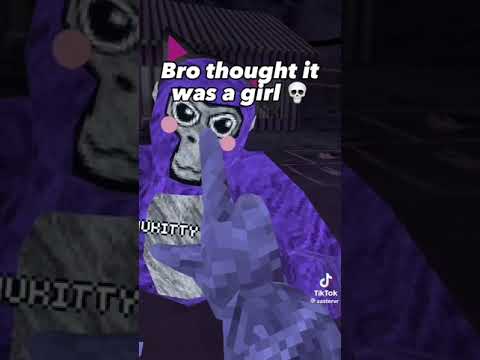Gorilla Tag Memes For 1 Hour😂!