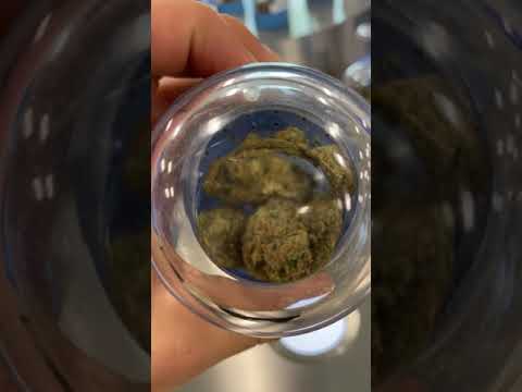 Cookies Dispensary Walkthrough