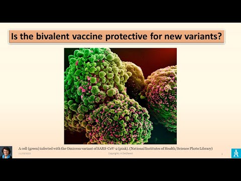 IS THE BIVALENT VACCINE PROTECTIVE AGAINST BQ.1.1? 11-19-22