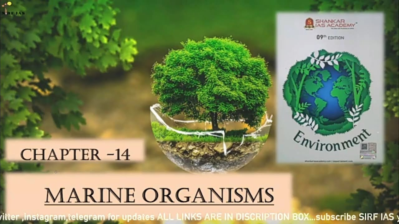 Understanding Marine Organisms: A Deep Dive into Phytoplankton ...