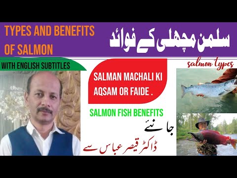 salmon fish types and benefits || machhalee ke phaayade||سلمن مچھلی کی اقسام اور فوائد