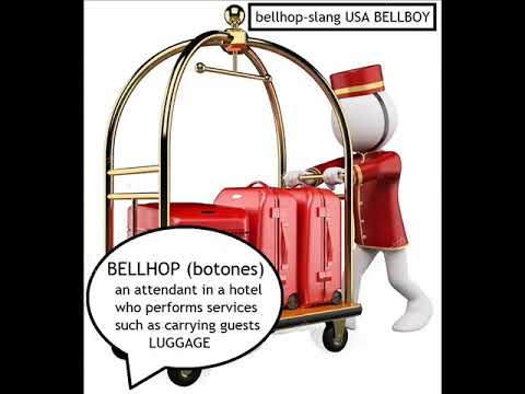 WORDS and MEANING / bartender, bellhop