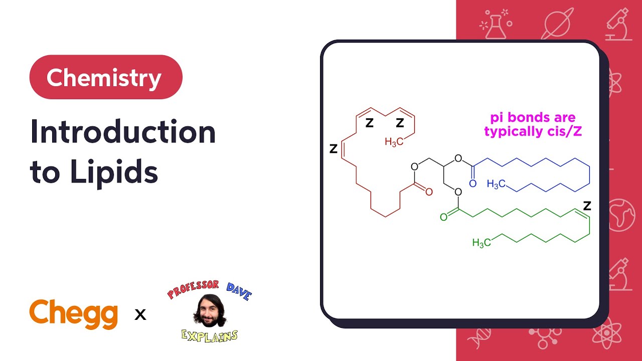 Introduction to Lipids Ft. Professor Dave