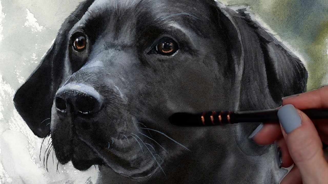 How to Paint a Black Labrador Dog Portrait in Watercolor