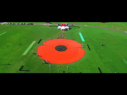 A Giant Poppy Worth Remembering This Anzac Day