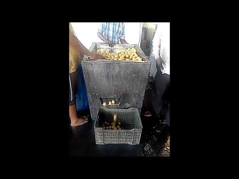 Amla Processing Machine at Best Price in India