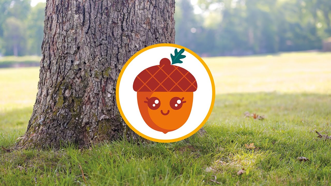 Camp Acorn | Summer Camp | Somerset Hills YMCA