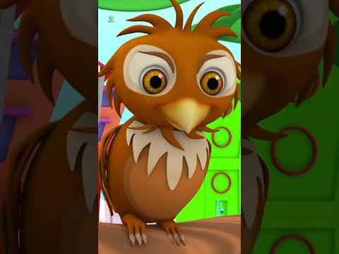 A Wise Old Owl Little Treehouse German