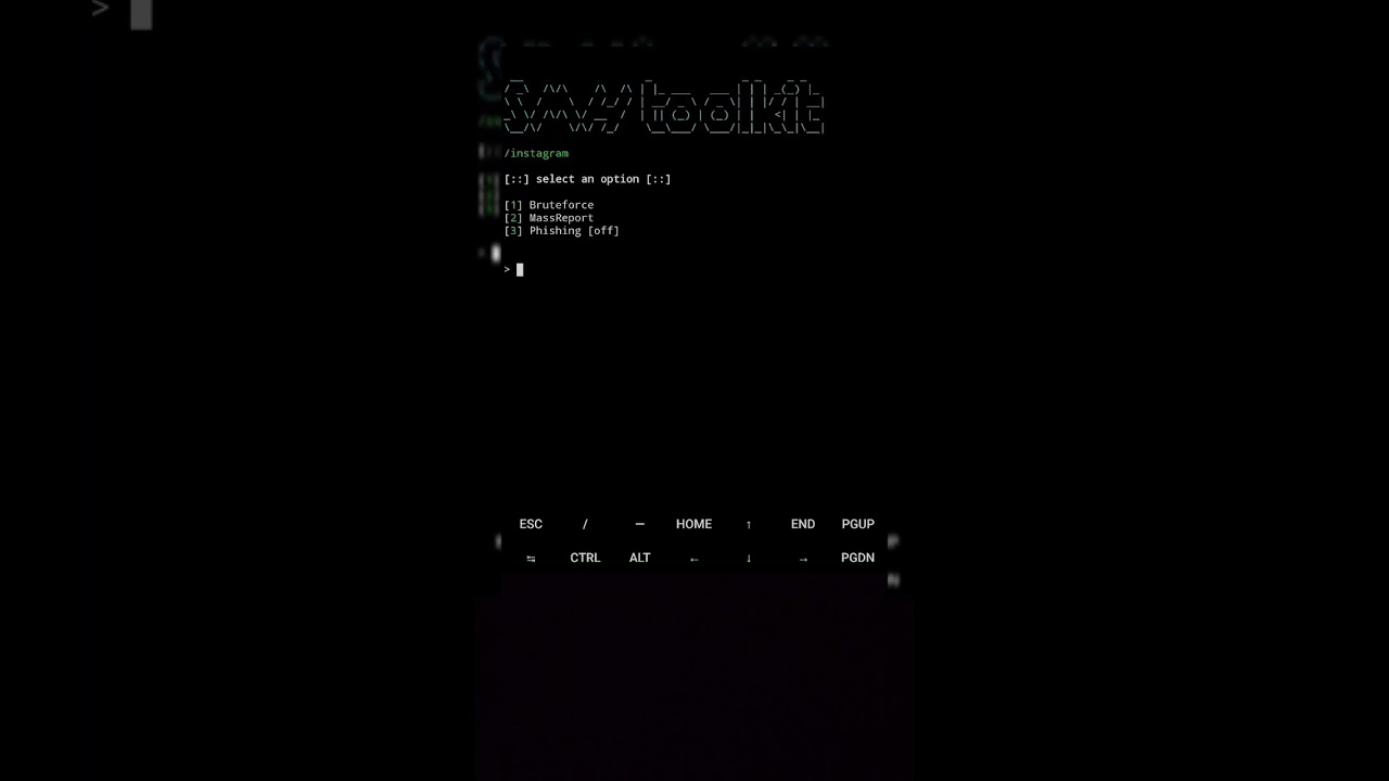 How to Brute Force Attack on Instagram Account