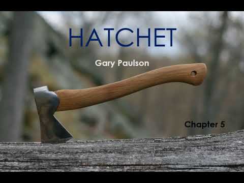 Hatchet Chapter 5