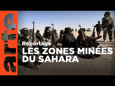 Sahara occidental : les combattantes du désert | ARTE Reportage