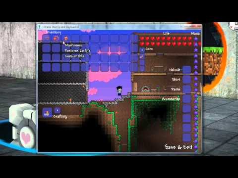 How to use Terraria Inventory Editor