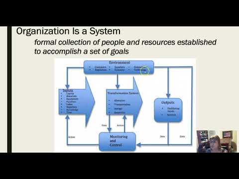 Module 7 Video 1 Organizations and Information Systems