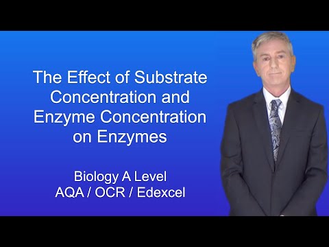 A Level Biology Revision "The Effect of Substrate Concentration and Enzyme Concentration on Enzymes"