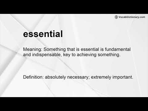 essential Meaning
